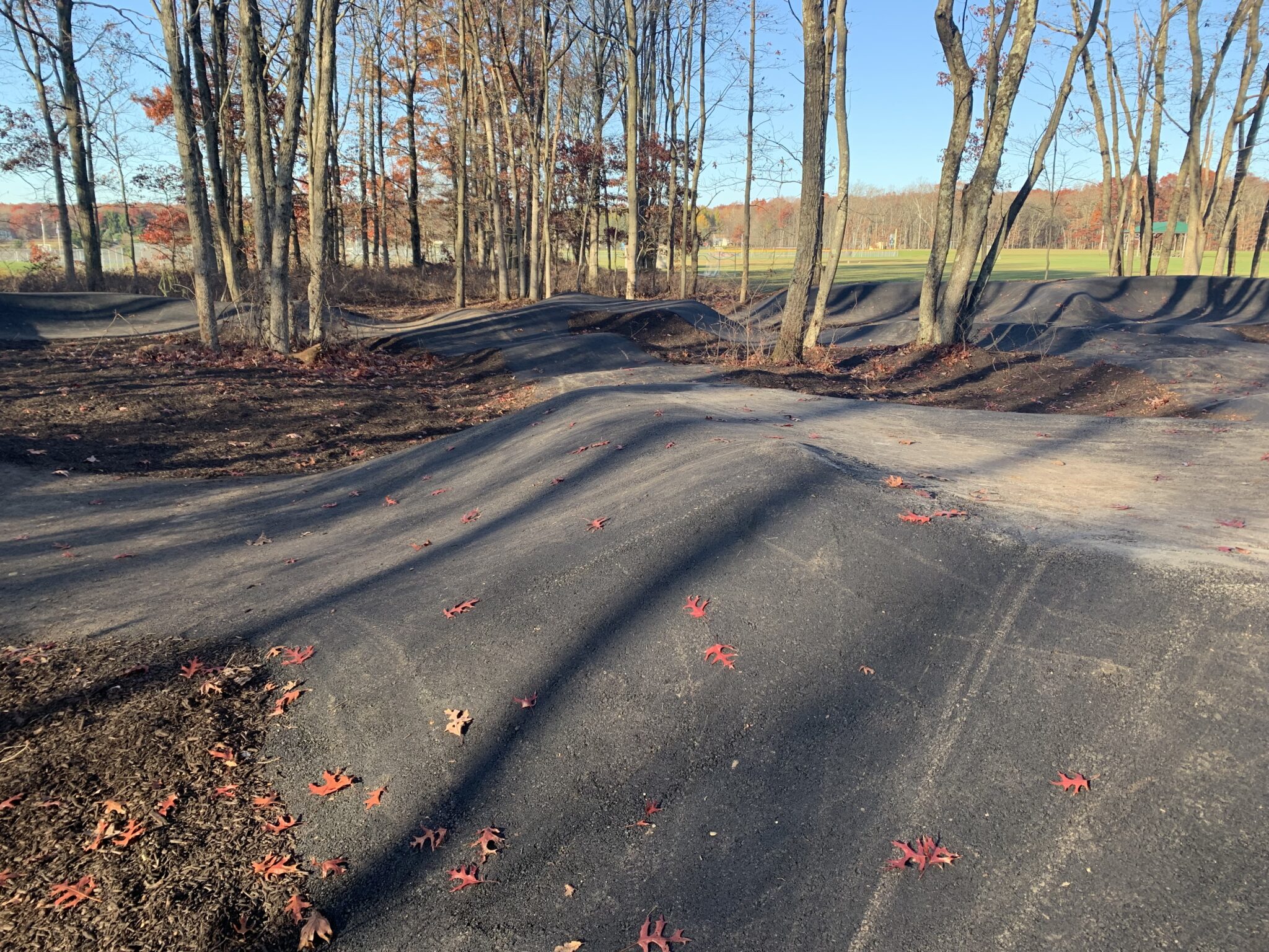 Penn Forest Park Pump Track - Barry Isett & Associates