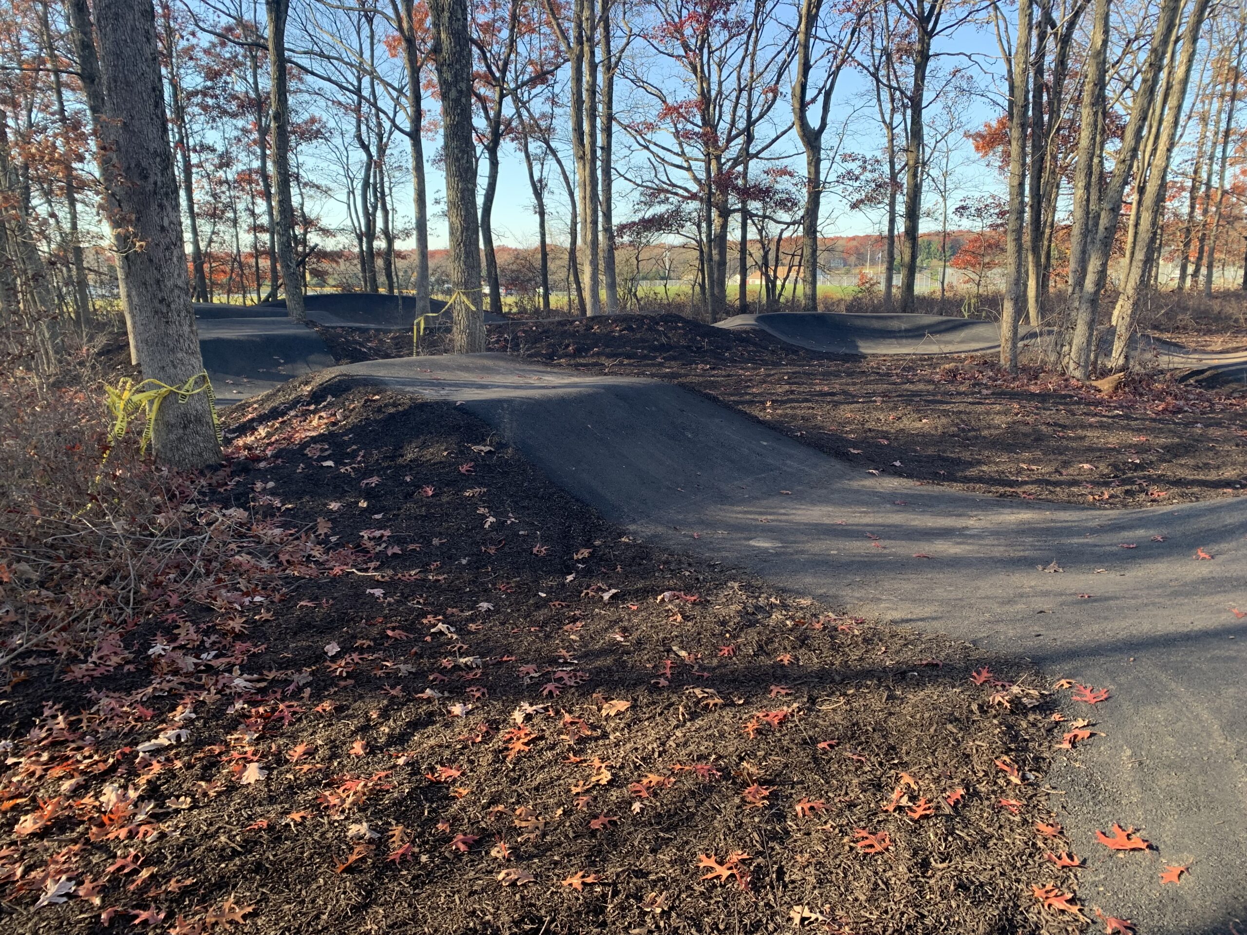 Penn Forest Park Pump Track - Barry Isett & Associates