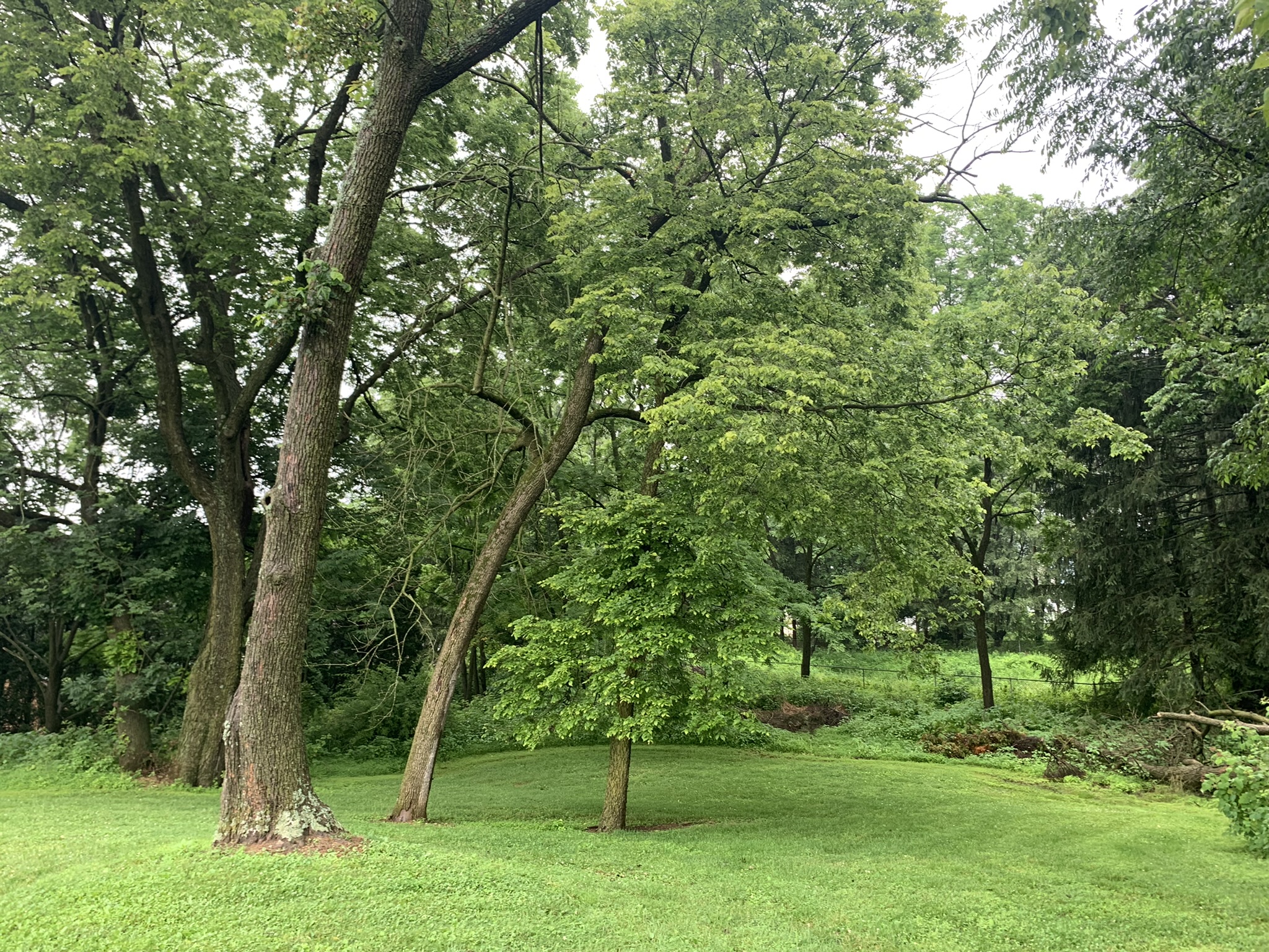 South Whitehall Township Park, Recreation, Open Space & Trail Plan ...